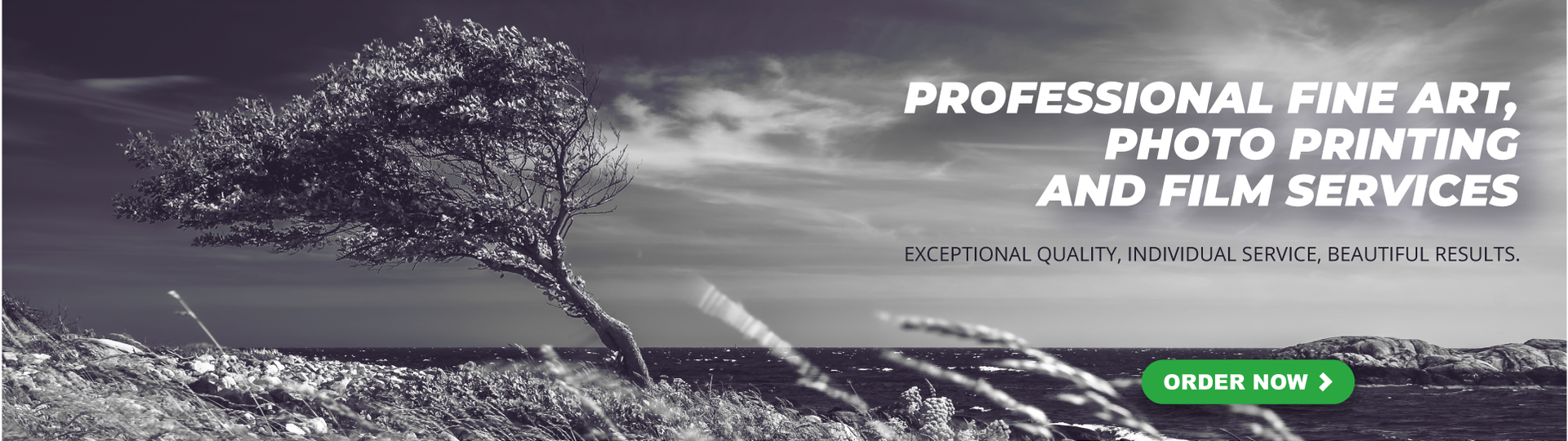 Digital Camera Warehouse - Buy Online or visit our Sydney Store